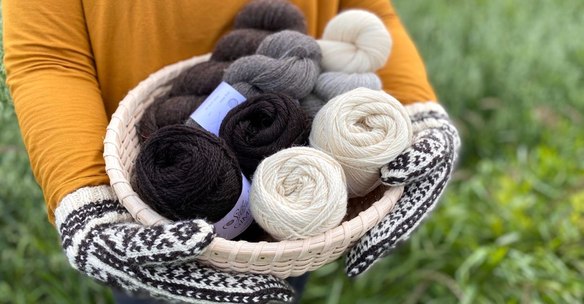 Fra uvasket ull til ferdig garn | Selbu Spinneri AS